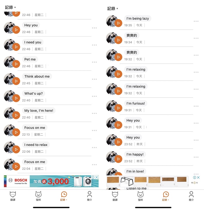 推特話題「MeowTalk貓語翻譯機」想知道主子在說什麼的貓奴一定要下載！ | Japaholic