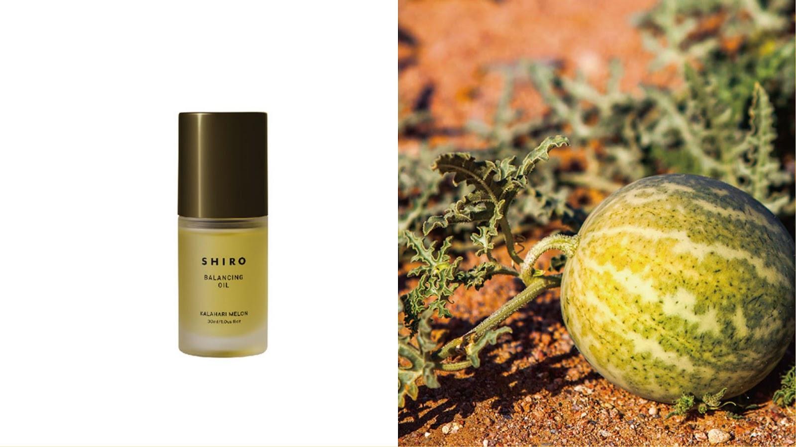 日本超夯秋冬「油保養」， SHIRO高質感植萃保養油打造光潤純淨的健康肌膚！ | Japaholic