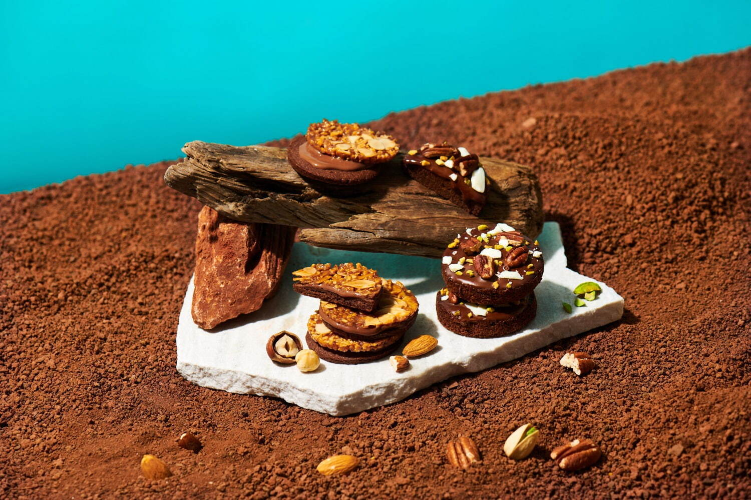 【新店速報】日本3月新開幕推薦店5選！堅果系新伴手可愛到內心都要開花啦 | Japaholic