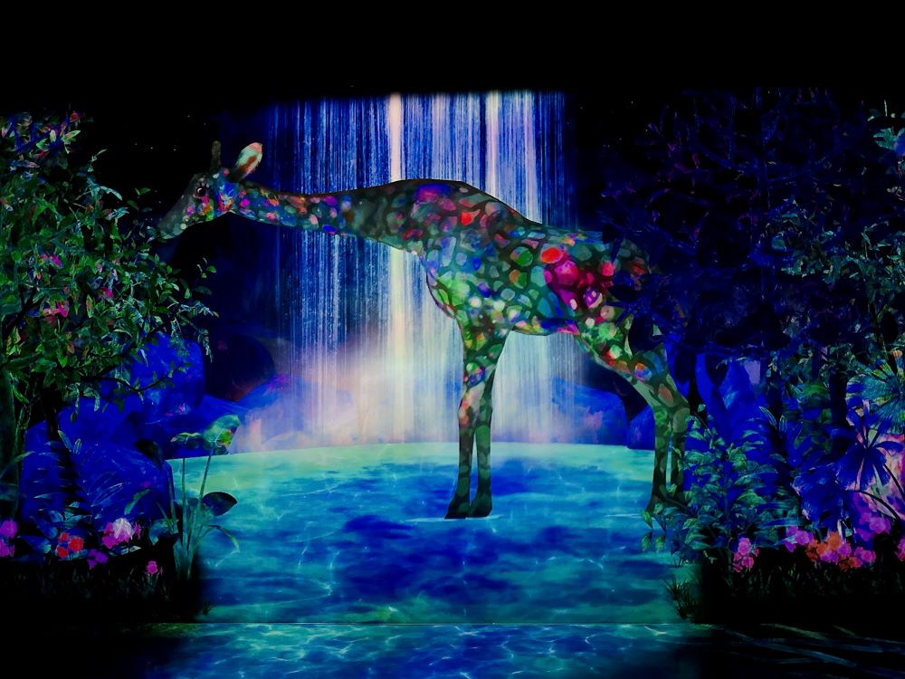 teamLab★Forest Fukuoka 福岡森林常設展參觀攻略 | Japaholic