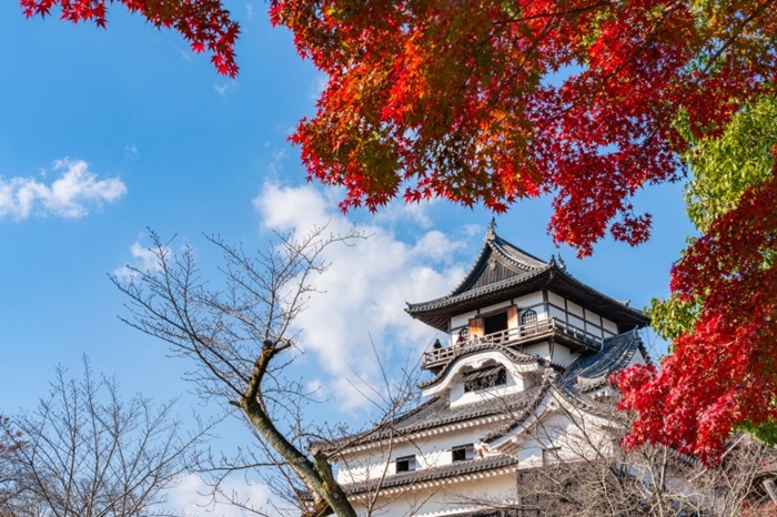 Best Autumn Train Rides in Japan: 5 Scenic Routes for Fall Foliage ...